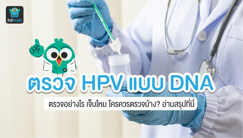 ตรวจมะเร็งปากมดลูก HPV DNA คืออะไร ตรวจยังไง เจ็บไหม? | HDmall